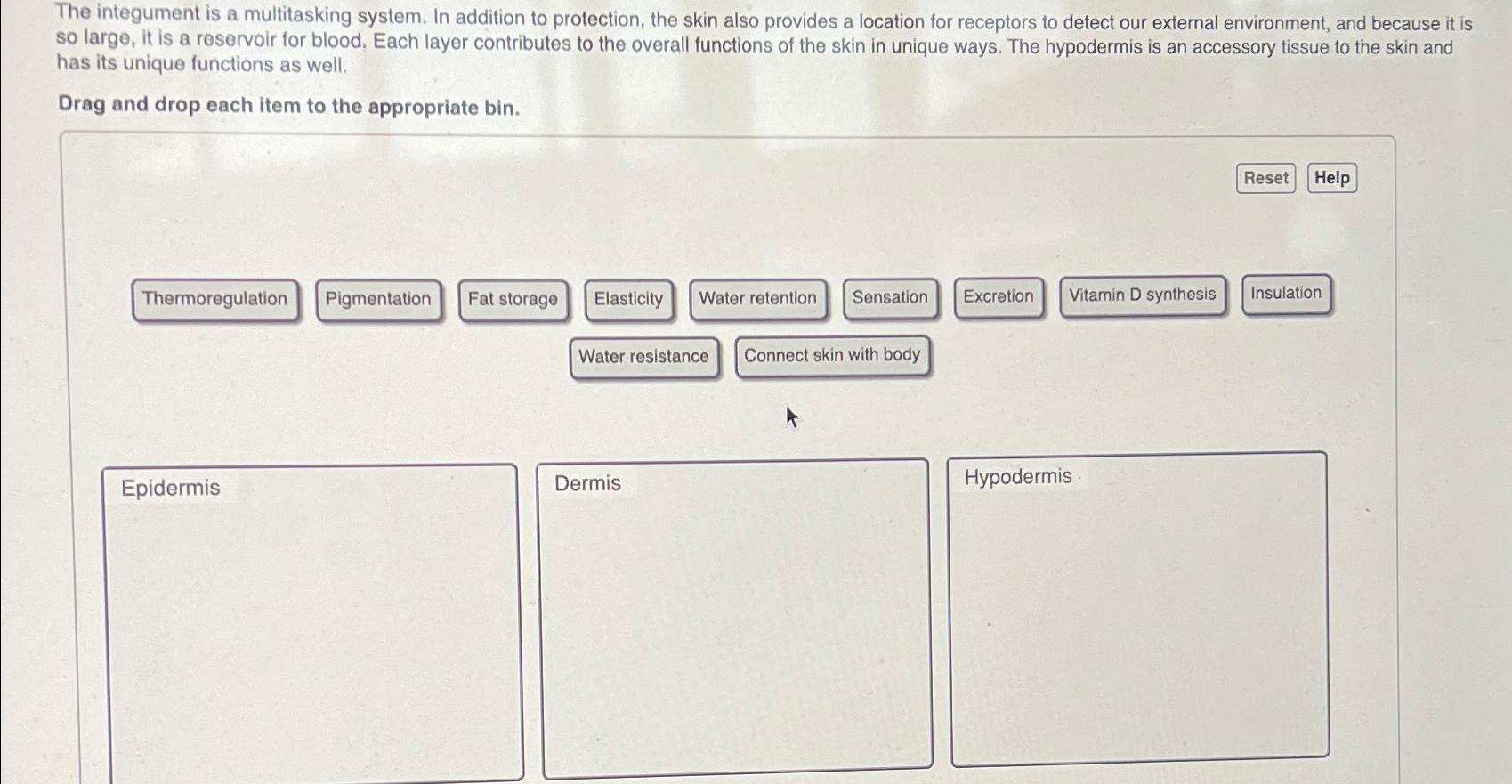 Solved The integument is a multitasking system. In addition | Chegg.com