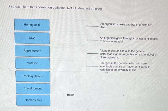 Solved Drag each item to its correction definition. Not all | Chegg.com