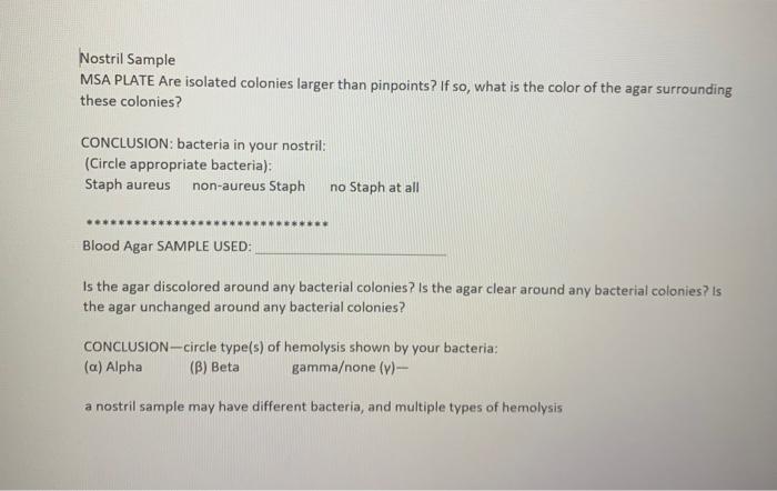 Solved Nostril Sample MSA PLATE Are isolated colonies larger | Chegg.com
