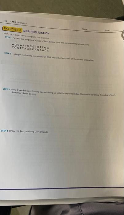 40 LAB 2 Genetics EXERCISE B DNA REPLICATION Work | Chegg.com