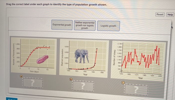 Solved Drag the correct label under each graph to identify | Chegg.com