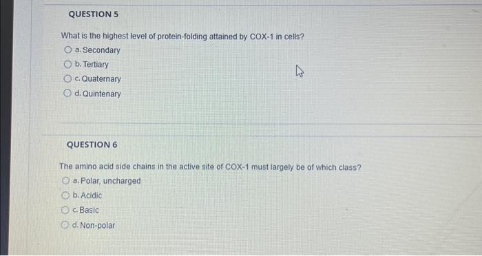 Solved What is the highest level of protein-folding attained | Chegg.com