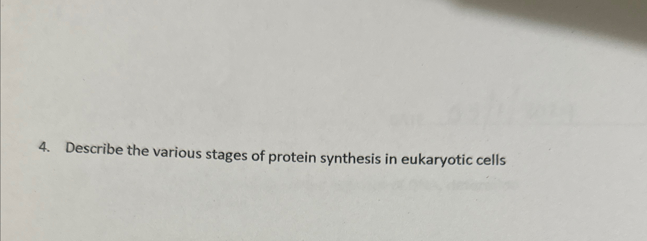 Solved Describe the various stages of protein synthesis in | Chegg.com