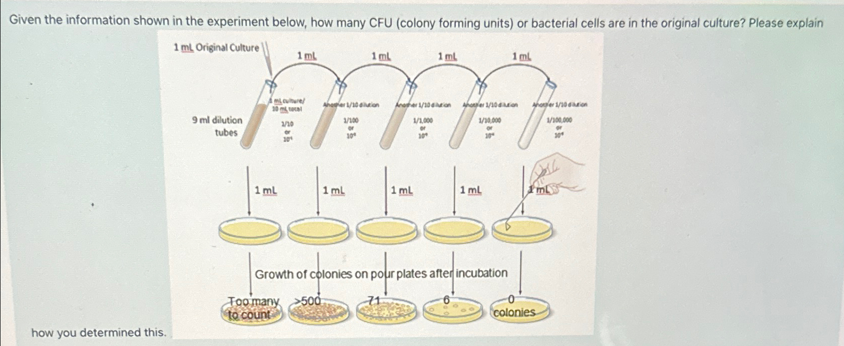 Solved Given the information shown in the experiment below, | Chegg.com