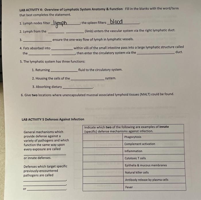 Solved LAB ACTIVITY 4: Overview of Lymphatic System Anatomy | Chegg.com