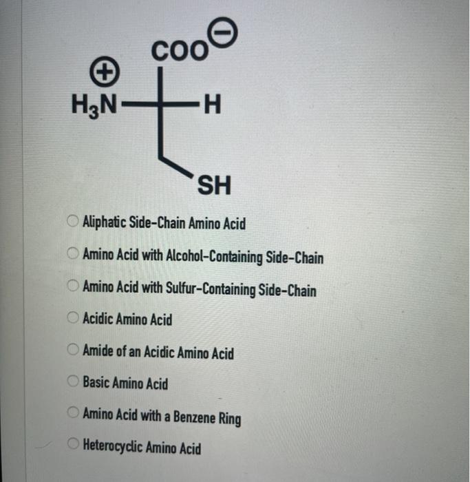 Solved cod + H3N H OH Aliphatic Side-Chain Amino Acid Amino | Chegg.com