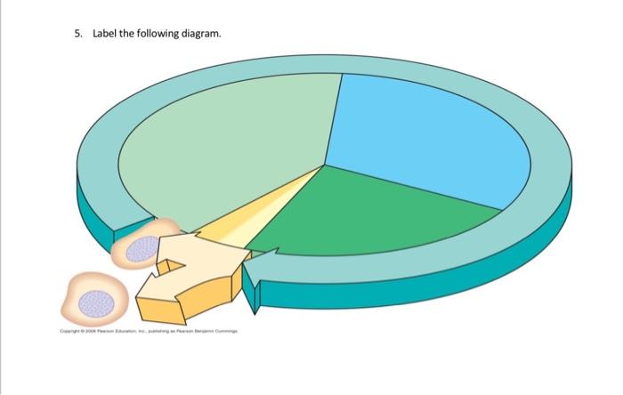 Solved 5. Label the following diagram. | Chegg.com