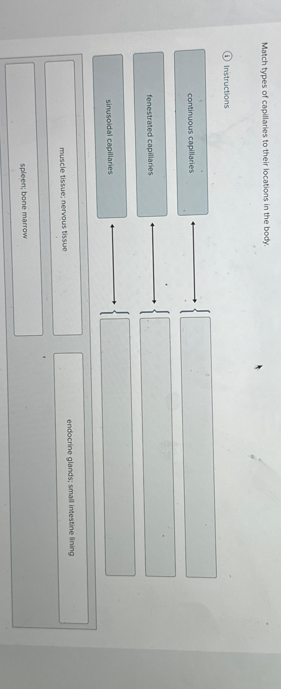 Solved Match types of capillaries to their locations in the | Chegg.com