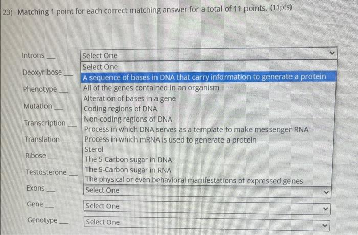 Solved 3) Matching 1 point for each correct matching answer | Chegg.com