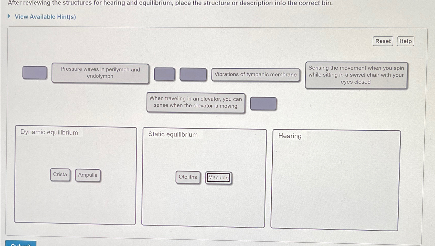 Solved After reviewing the structures for hearing and | Chegg.com