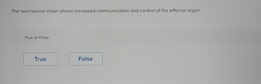 Solved The two-neuron chain allows increased communication | Chegg.com