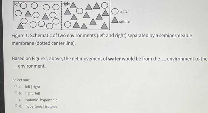 Solved Figure 1. Schematic of two environments (left and | Chegg.com