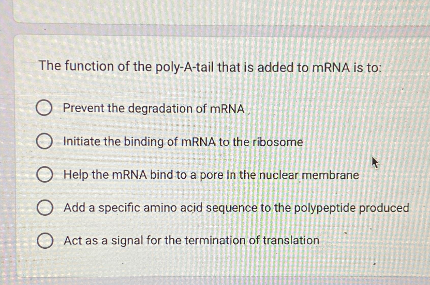 Solved The function of the poly-A-tail that is added to mRNA | Chegg.com
