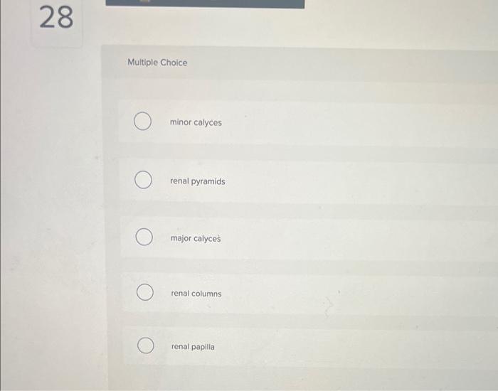 Solved Which structure is highlighted? Multiple Choice | Chegg.com
