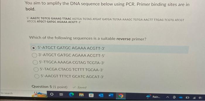 Solved You aim to amplify the DNA sequence below using PCR. | Chegg.com