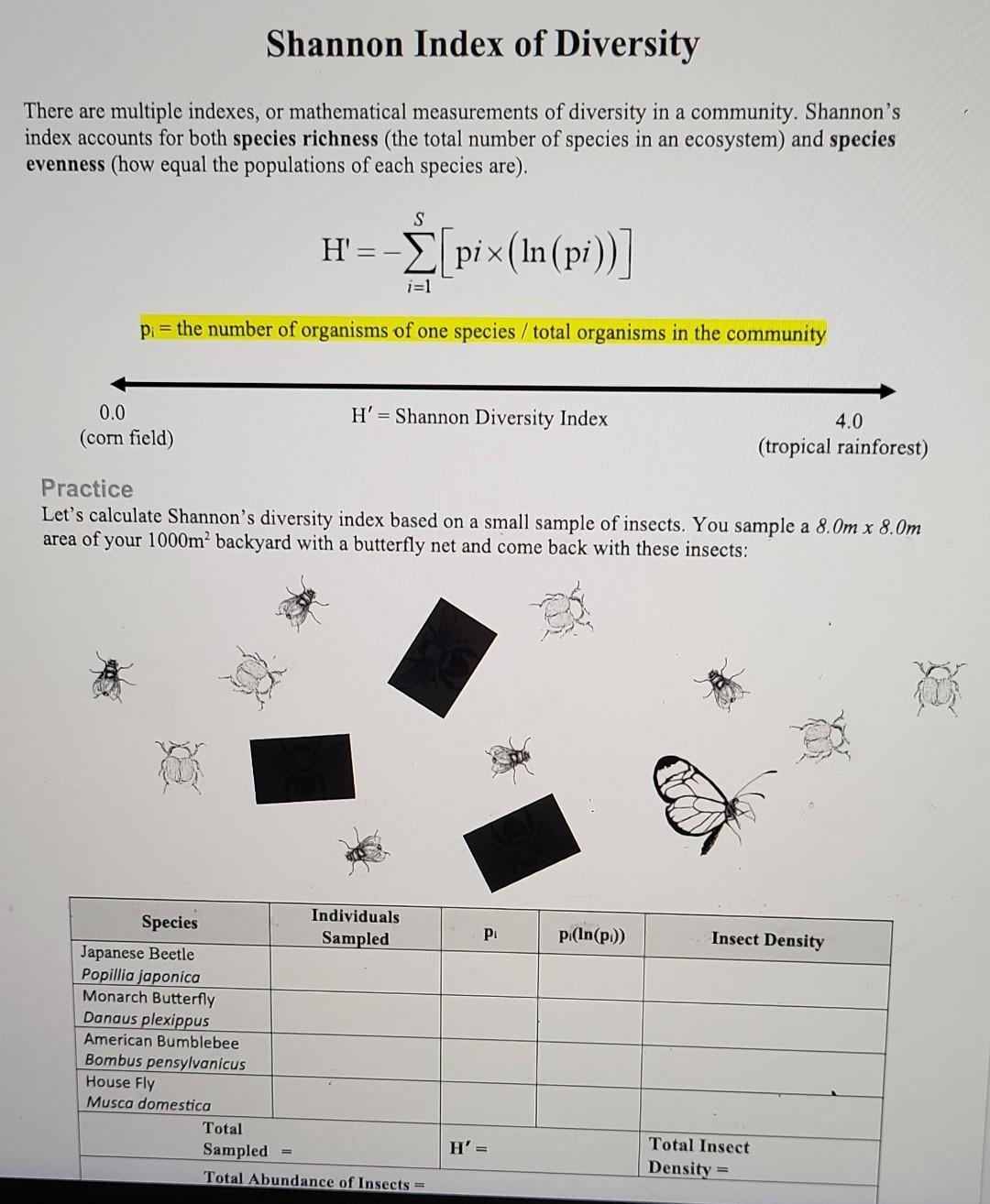 Shannon Index of Diversity There are multiple | Chegg.com