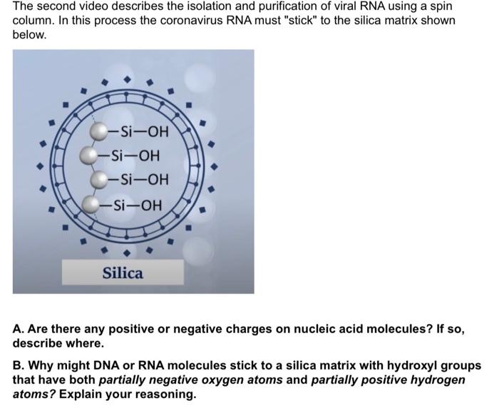 Solved The Second Video Describes The Isolation And