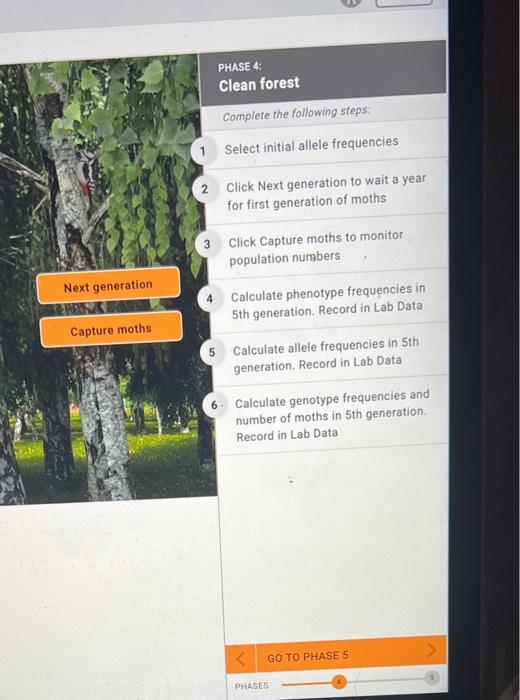 Solved NATURAL SELECTION. NATURAL SELECTION IN INSECTS | Chegg.com