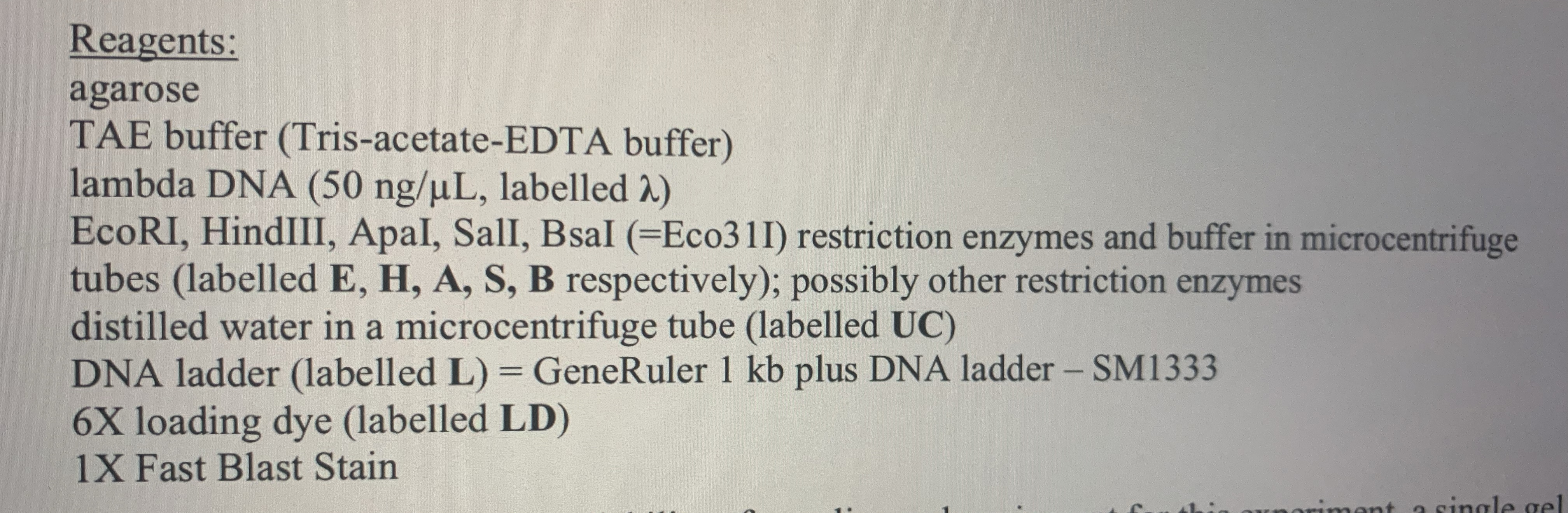 Solved What size fragments should you get with each of the | Chegg.com