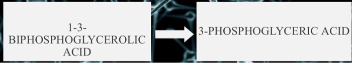 Solved 3-PHOSPHOGLYCERIC ACID 1-3- BIPHOSPHOGLYCEROLIC ACID | Chegg.com