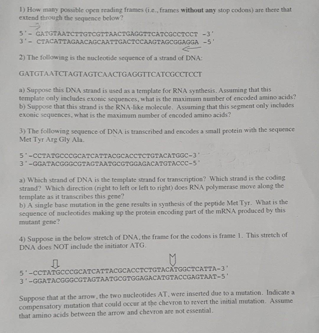 1) How many possible open reading frames (i.e., | Chegg.com