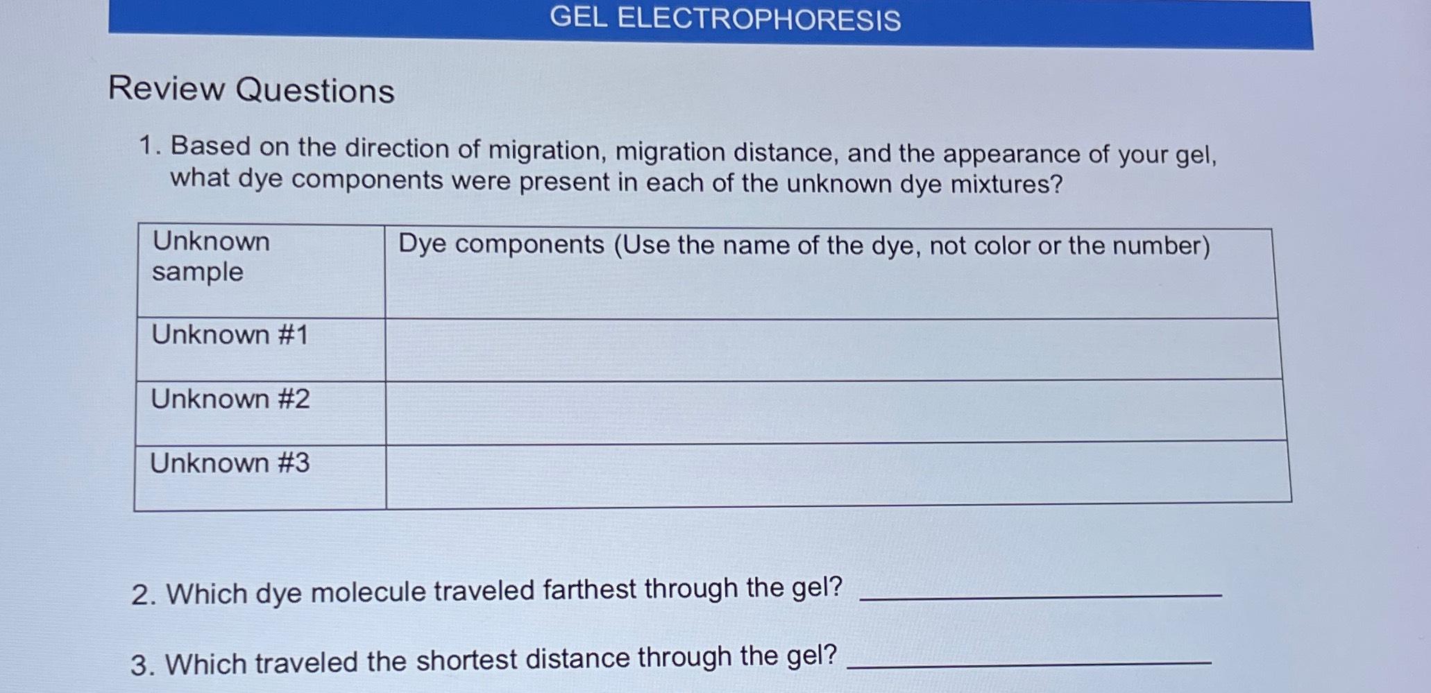 GEL ELECTROPHORESISReview QuestionsBased on the | Chegg.com