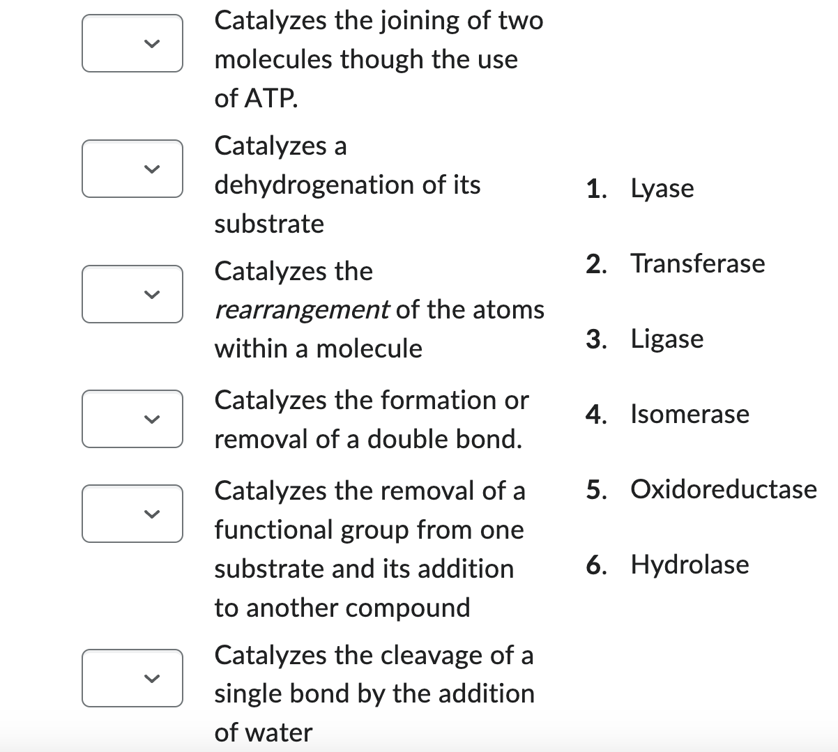 Solved Match the examples of enzyme function to the correct | Chegg.com