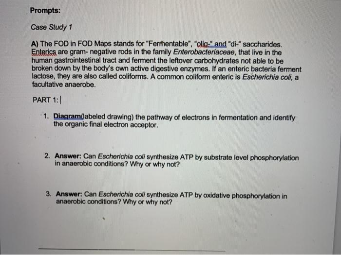Solved Prompts: Case Study 1 A) The FOD in FOD Maps stands | Chegg.com