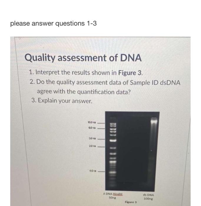 Solved please answer questions 1-3 Quality assessment of DNA | Chegg.com