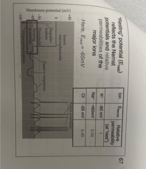 can i receieve the calculations for the answers to | Chegg.com