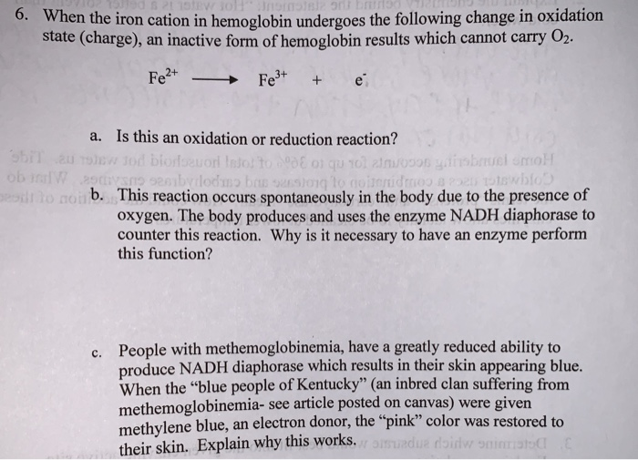 Solved 6. When the iron cation in hemoglobin undergoes the | Chegg.com