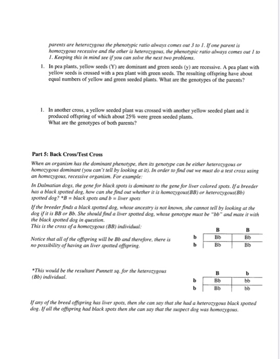 Solved Genetics Worksheet Part 1 Introduction: 1. Describe | Chegg.com