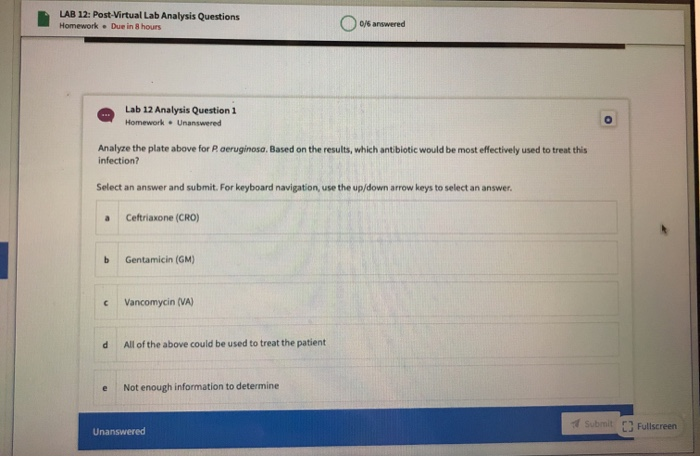 Solved LAB 12: Post-Virtual Lab Analysis Questions Homework | Chegg.com