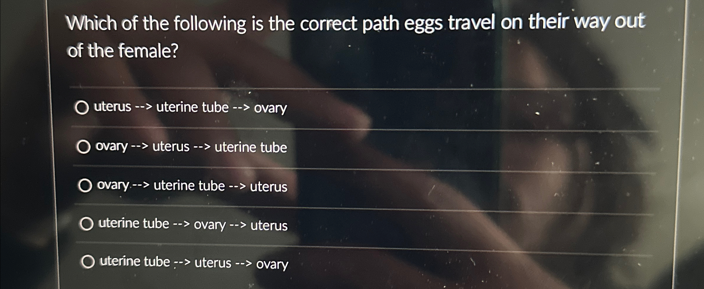 Solved Which of the following is the correct path eggs | Chegg.com