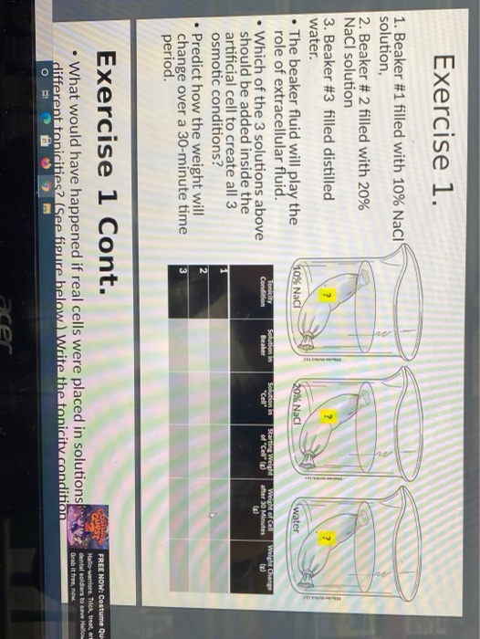 Solved Exercise 1. | 10% Naci 20% Nac! water 1. Beaker #1 | Chegg.com