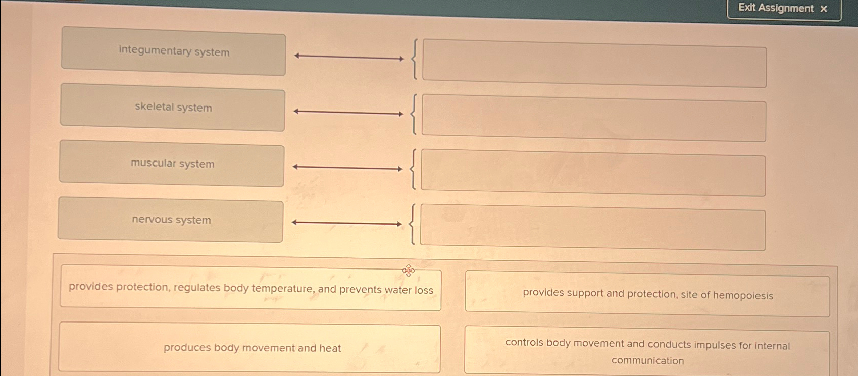 Solved integumentary systemskeletal systemmuscular | Chegg.com