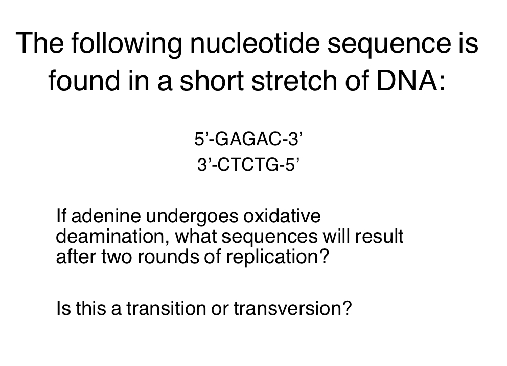 Solved The following nucleotide sequence isfound in a short | Chegg.com