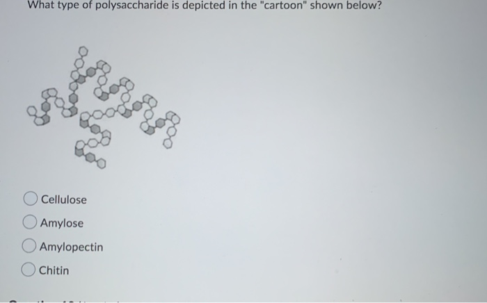 Solved What type of polysaccharide is depicted in the | Chegg.com