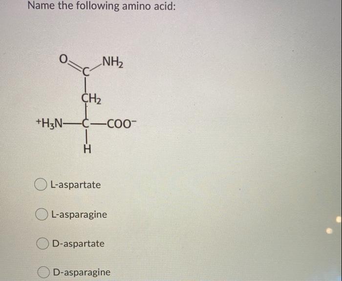 Solved Name the following amino acid: O= NH2 CH2 +H3N—C—000- | Chegg.com