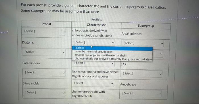 Solved For each protist, provide a general characteristic | Chegg.com