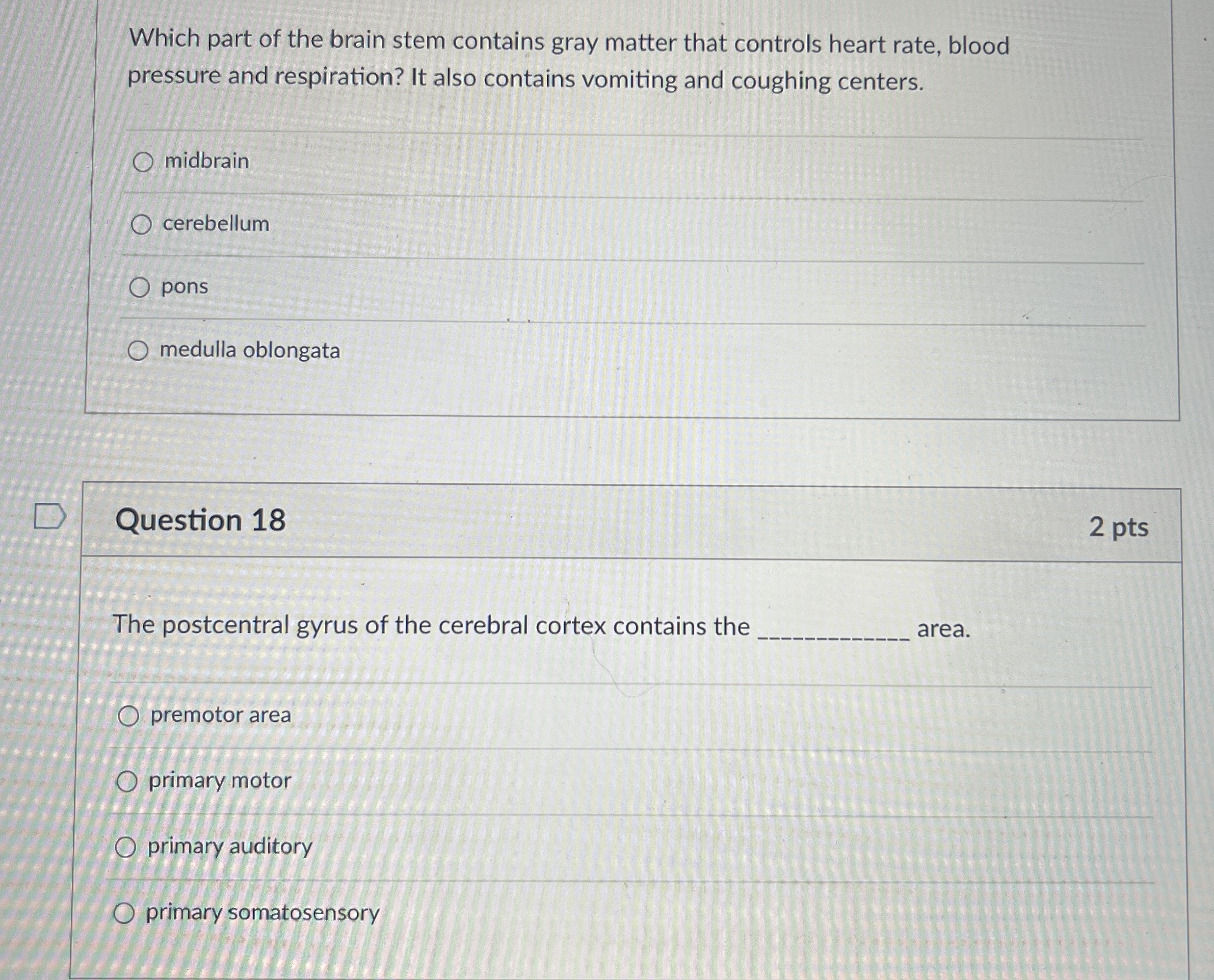 Solved Which part of the brain stem contains gray matter | Chegg.com
