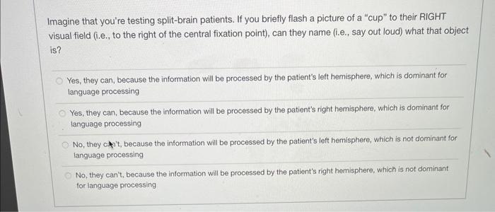 Solved Imagine That Youre Testing Split Brain Patients If