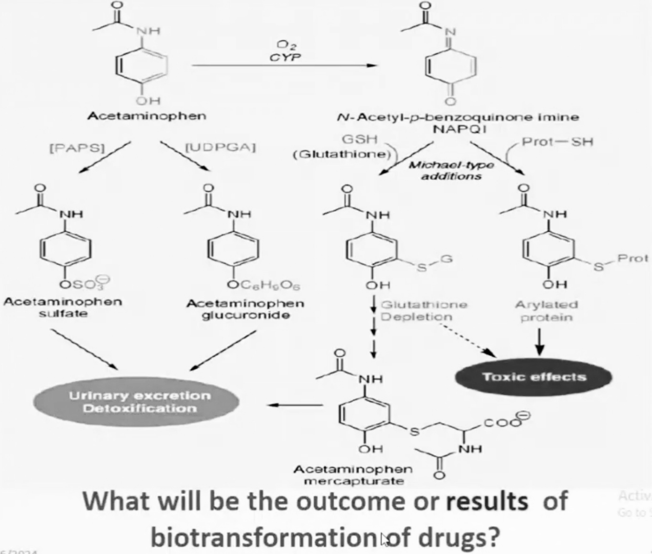 Solved Acetaminophen[PAPS]Acetaminophen | Chegg.com