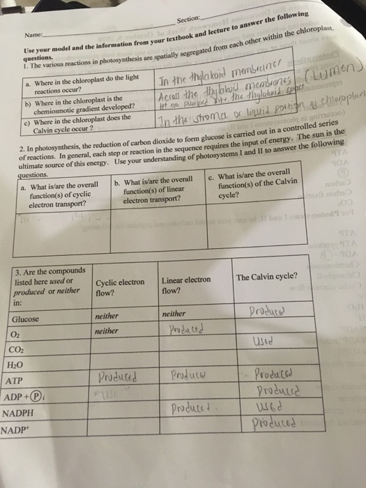 Solved Use your model and the information from your textbook | Chegg.com