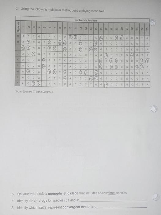 Solved 5 Using the following molecular matrix, build a | Chegg.com