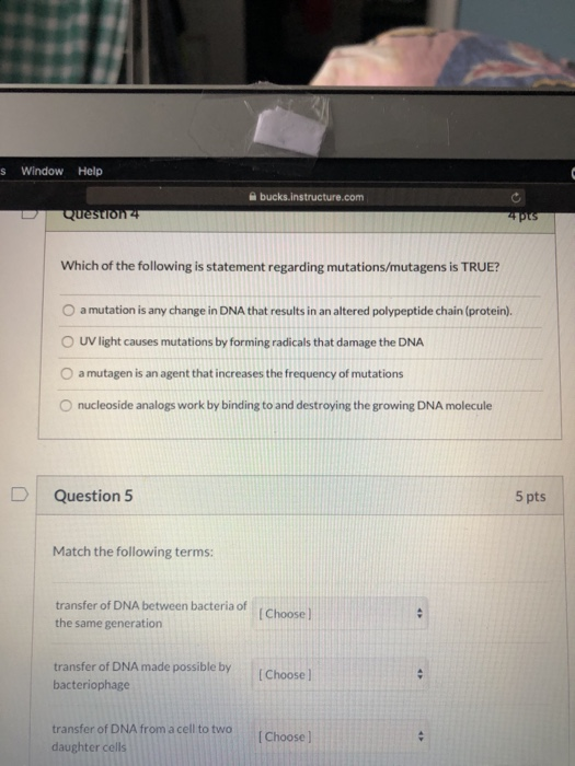 Solved S Window Help bucks.Instructure.com Question pas | Chegg.com