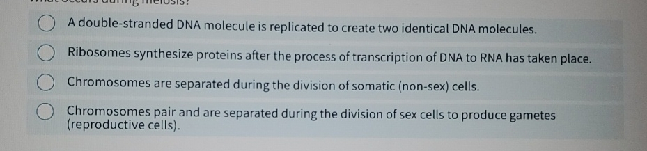 Solved A Double Stranded Dna Molecule Is Replicated To 6731