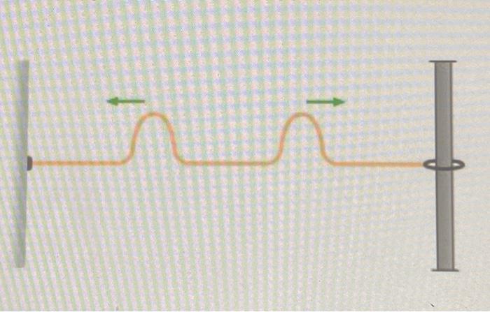 Solved ∣r∼∣The two pulses reflect off the boundaries of the | Chegg.com Solved ∣r∼∣The two pulses reflect off the boundaries of the | Chegg.com