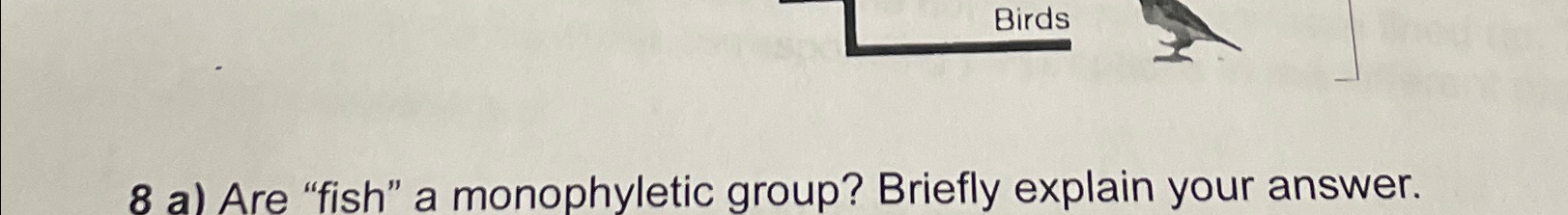Solved 8 ﻿a) ﻿Are "fish" a monophyletic group? Briefly | Chegg.com