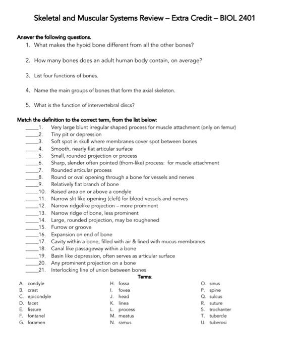 Solved Skeletal and Muscular Systems Review - Extra Credit - | Chegg.com